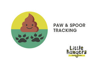 Lion and Safari Park - Paw and Spoor Tracking I Little Rangers