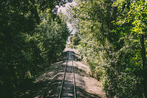 Franschhoek Wine Tram - NAVY LINE 2 BUS ONLY EXPERIENCE