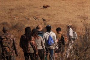 Bothongo Rhino and Lion Nature Reserve - Savannah Trail Guided Walk