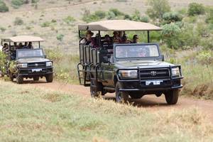 Bothongo Rhino and Lion Nature Reserve - Game Drive (min. 2 pax)