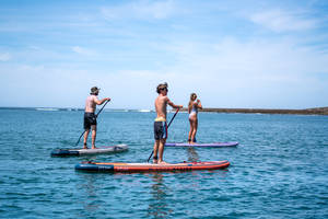 SUP Cape Town - Open Ocean Stand Up Paddle Boarding Guided Tour - 90min