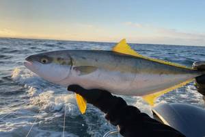 Visit South Africa - Yzerfontein Deep-Sea Big Game Fishing