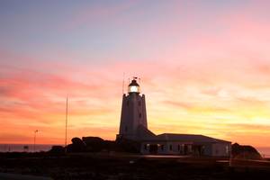 Visit South Africa - Paternoster Lighthouse and Cape Columbine Tour