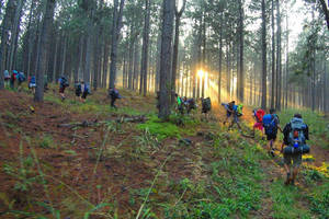 Sun Eagle Adventures - Guided Bush Walk Min 3 Pax -Mpumalanga