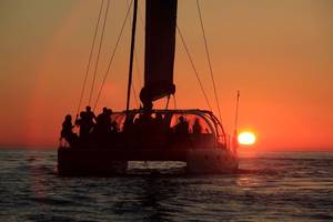 Wild Horizons Waterfront Adventures - New Years Eve Party Cruise ...