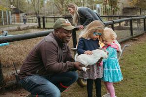 Things To Do - Animal Farm