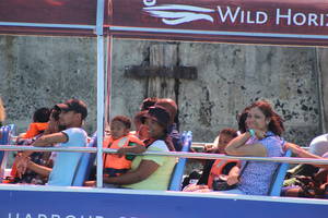 Wild Horizons Waterfront Adventures - Family Harbour Cruise - (2 Adults ...
