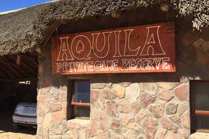 Things To Do - Aquila Game Reserve & Wine Tasting Private Full Day