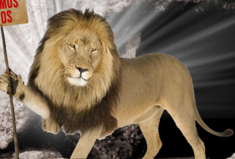 La resurrección de LDA