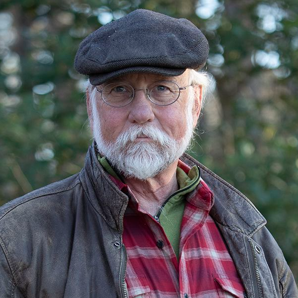 Cicadas: I’ll feast on this Alabama delicacy every 13 years - al.com