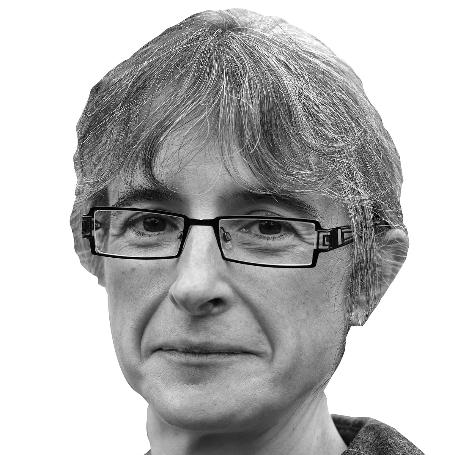 Sarah Moss - The Irish Times