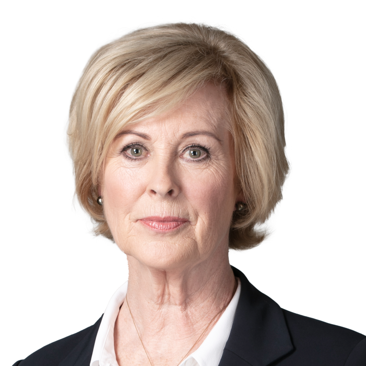 Hands off: Fight to keep the Auckland Showgrounds for exhibitions goes ...