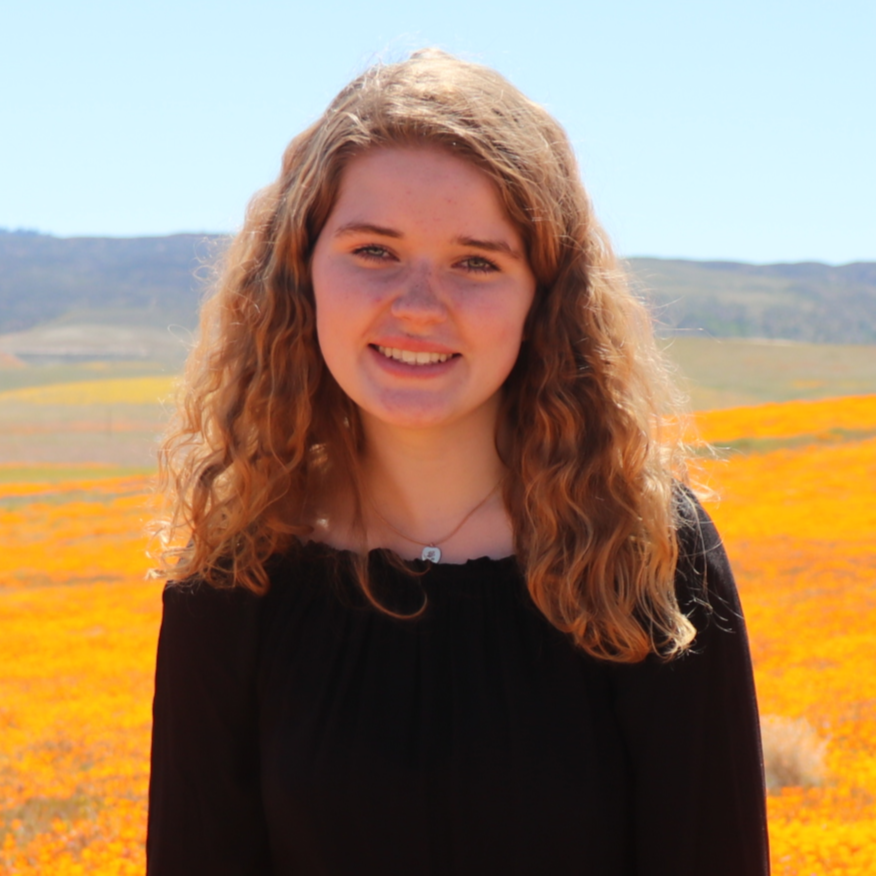 Amanda Sturges - Annenberg Media