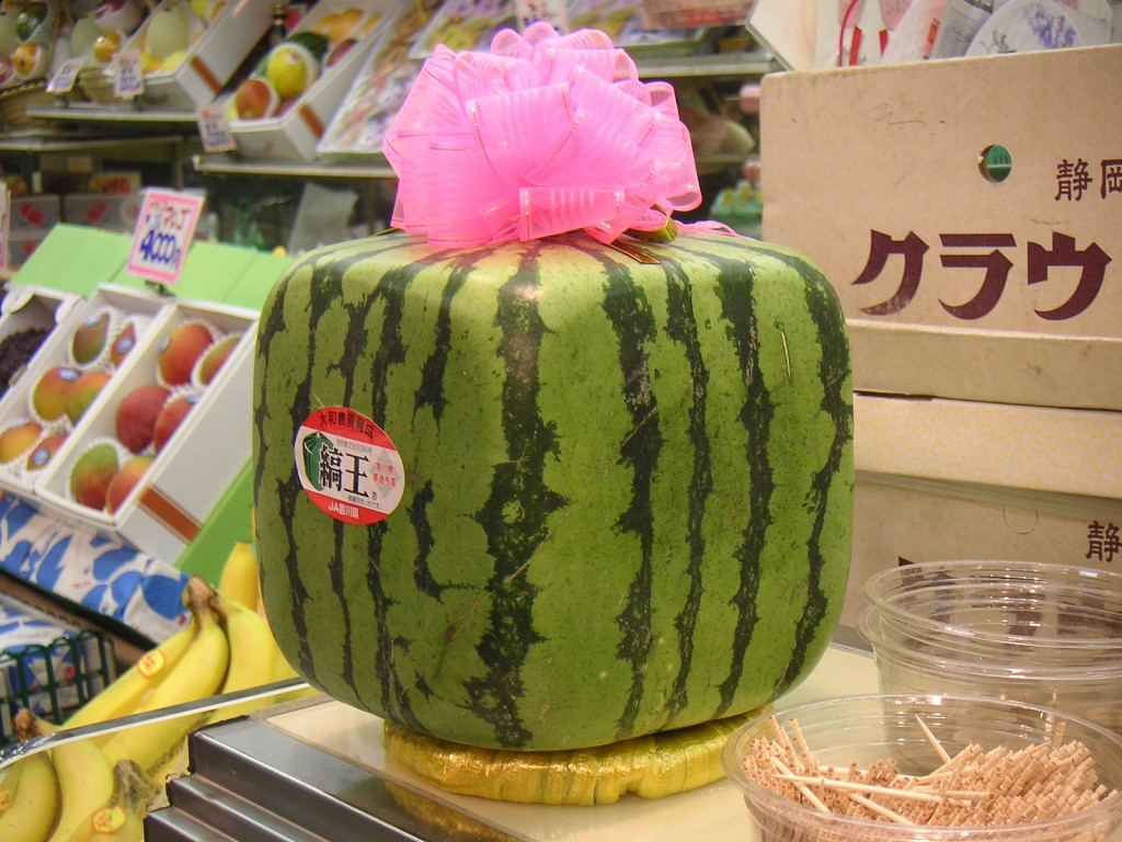 The worry about square watermelons and other misconceptions about GMO ...