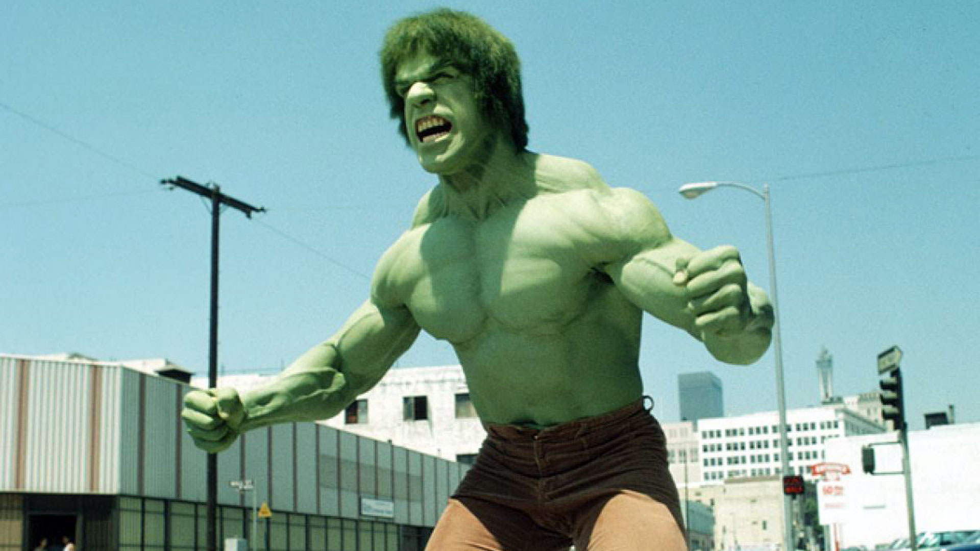 Lou Ferrigno Hulk Thor