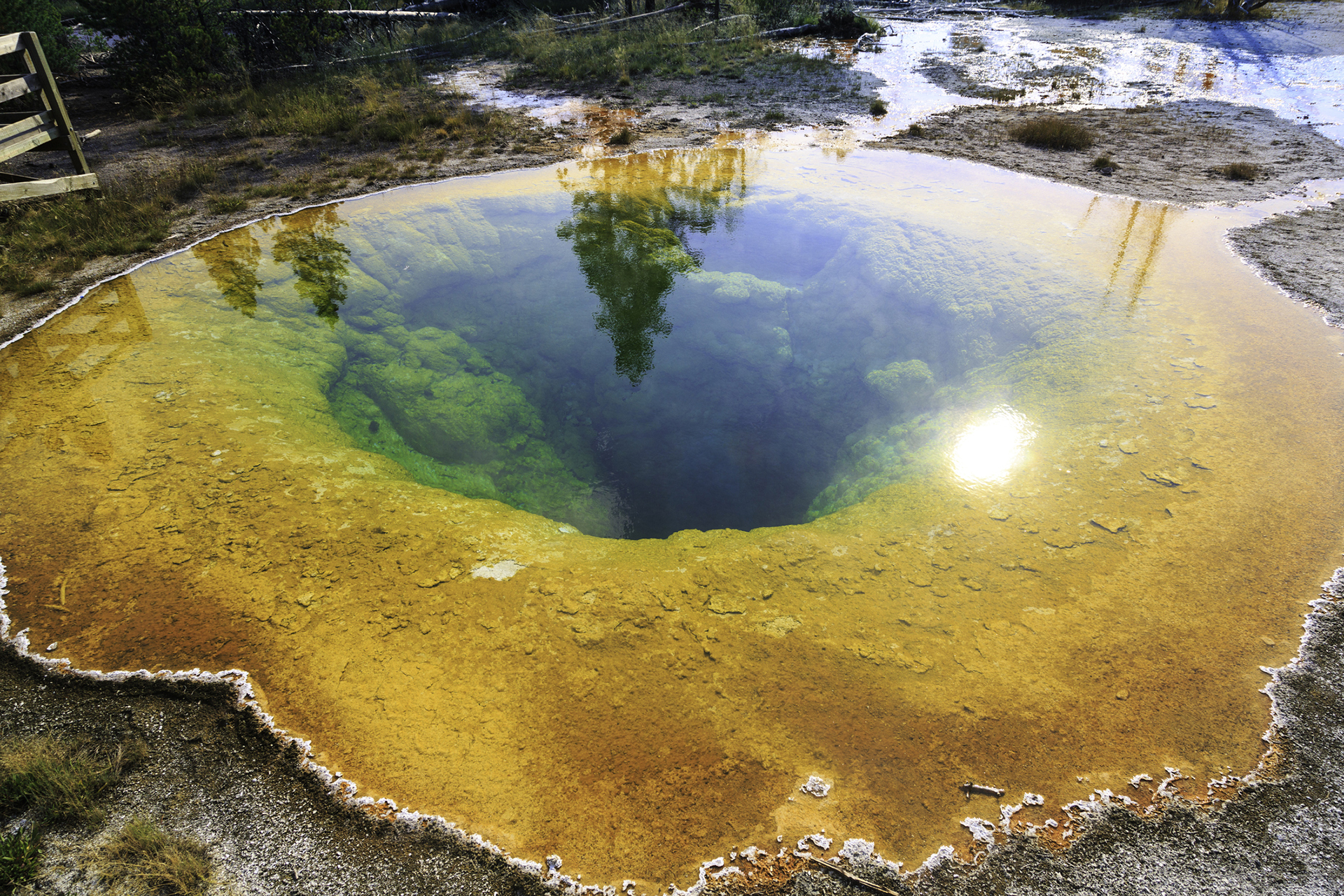 Los Encantos De Yellowstone El Primer Parque Nacional De Estados