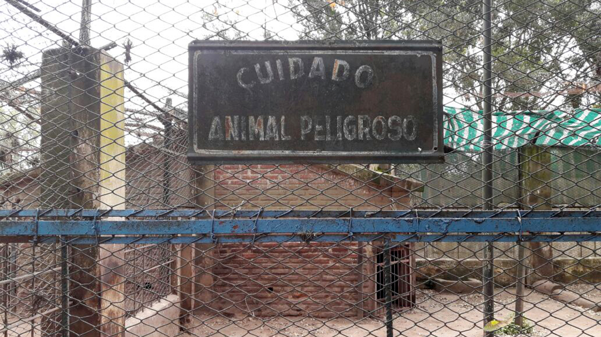 Siete animales del zoo de Colón serán trasladados a un santuario en ...