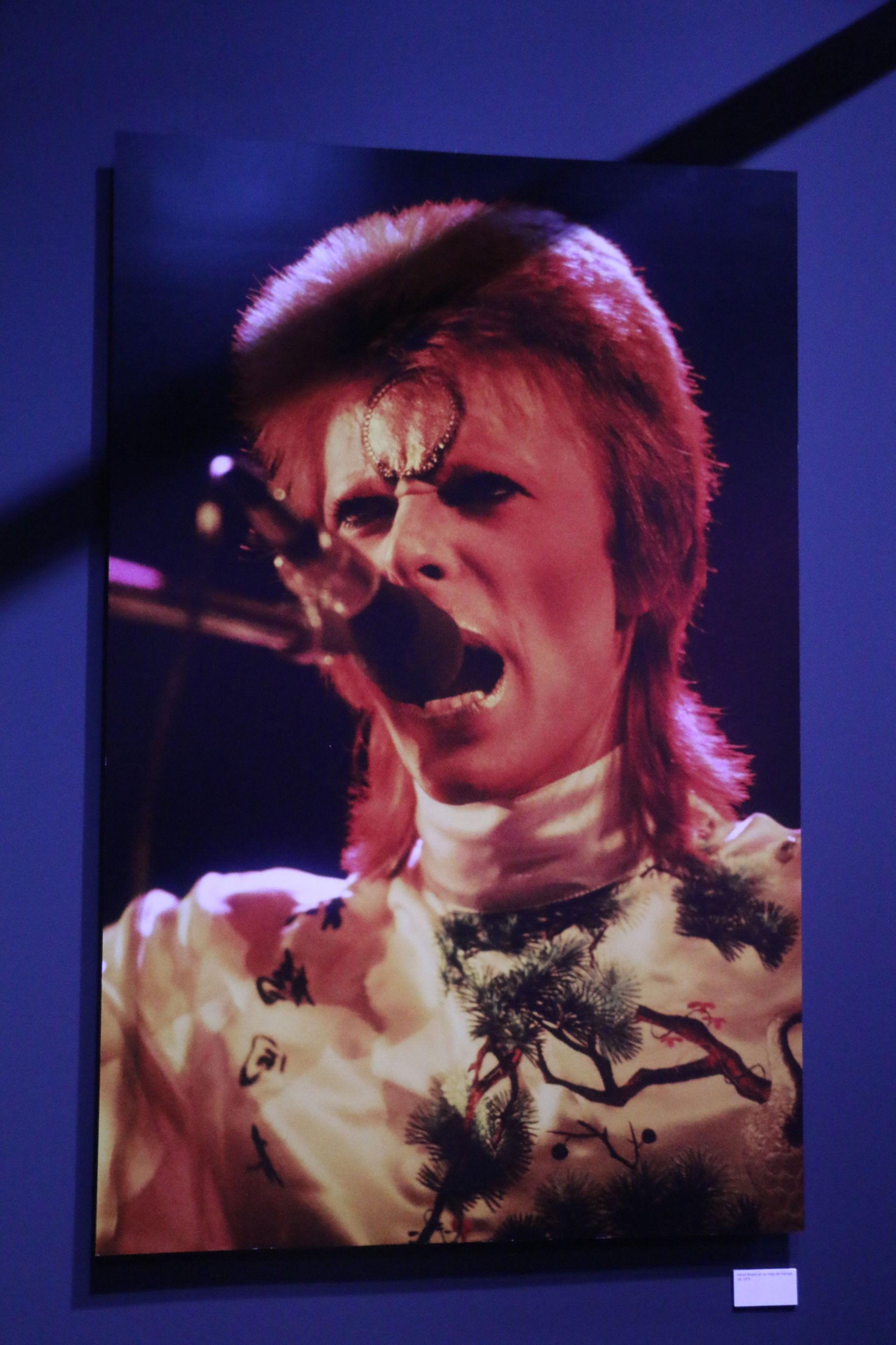 Bowie By Mick Rock El Fotógrafo De David Bowie Ya Está En Buenos Aires Infobae