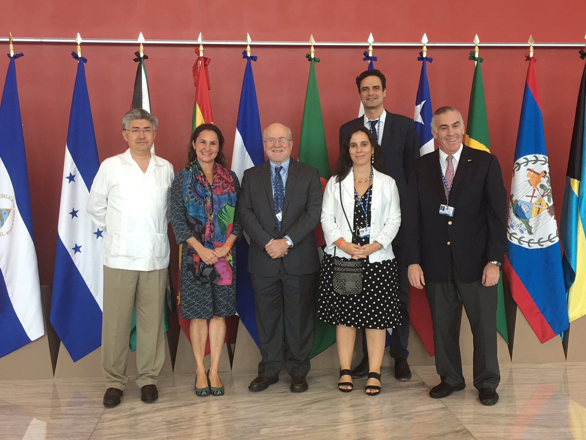 Revés Para La Argentina En La Oea El Candidato Del Gobierno No Entró En La Cidh Infobae