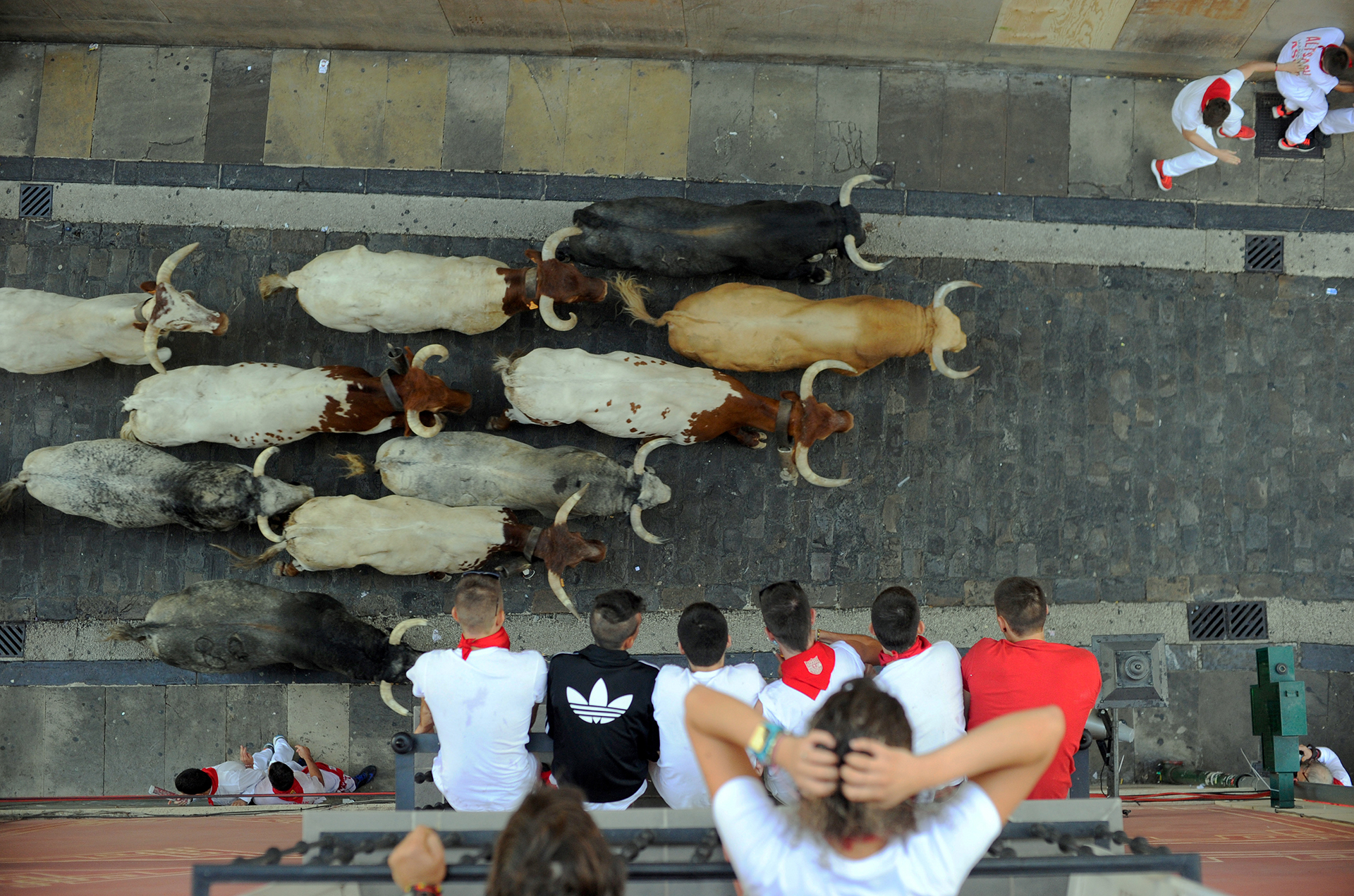 Las Mejores Fotos Del Primer Encierro De San Fermín 2017 Infobae