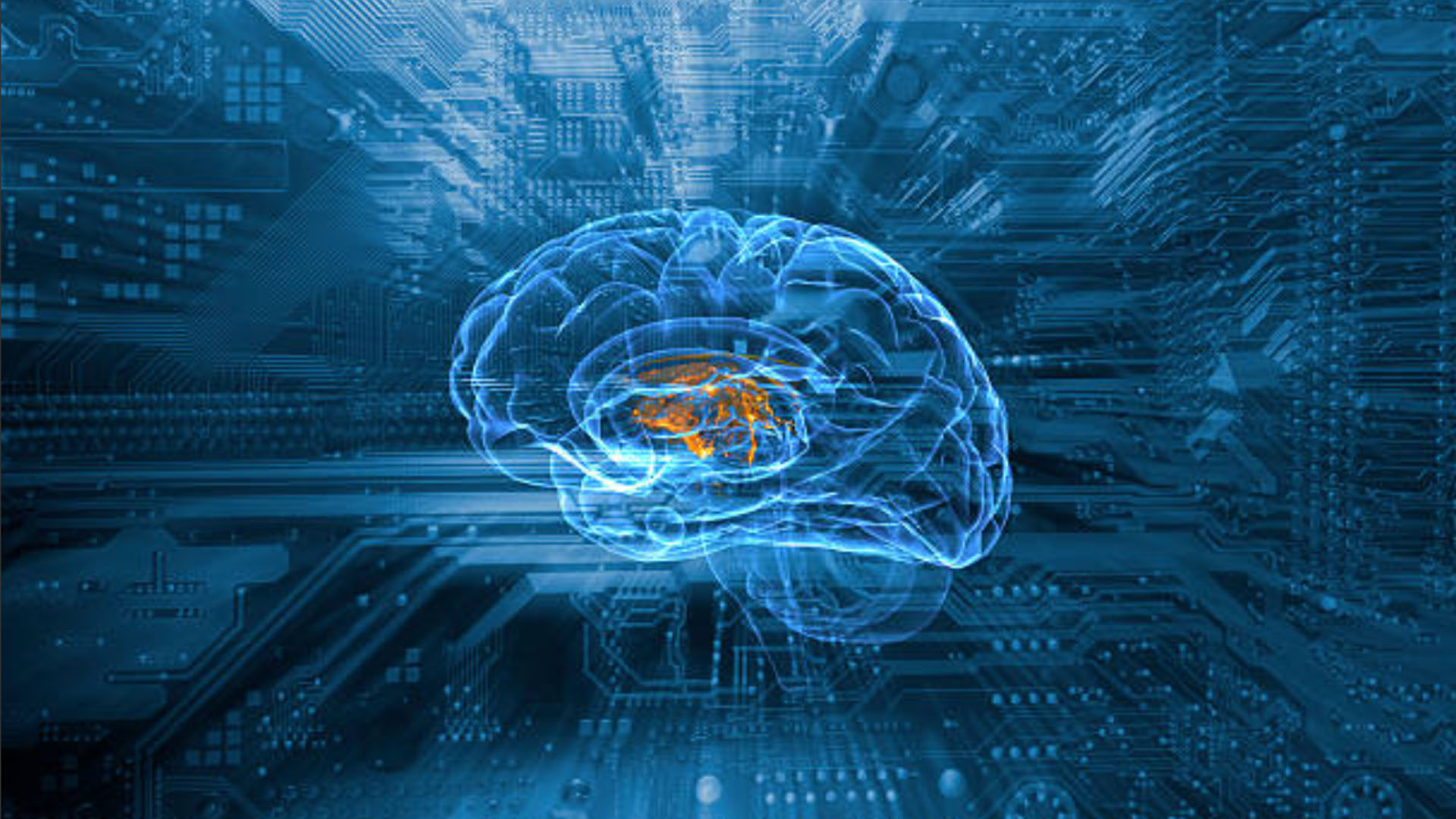 ¿es Posible Hacer Una Copia Digital Del Cerebro Para Lograr La Inmortalidad Infobaeemk 7987