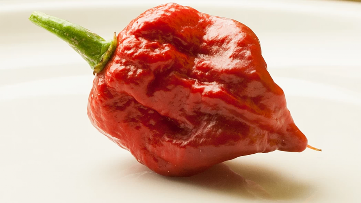 Este hombre tuvo que ir al hospital por comer el chile más picante del ...