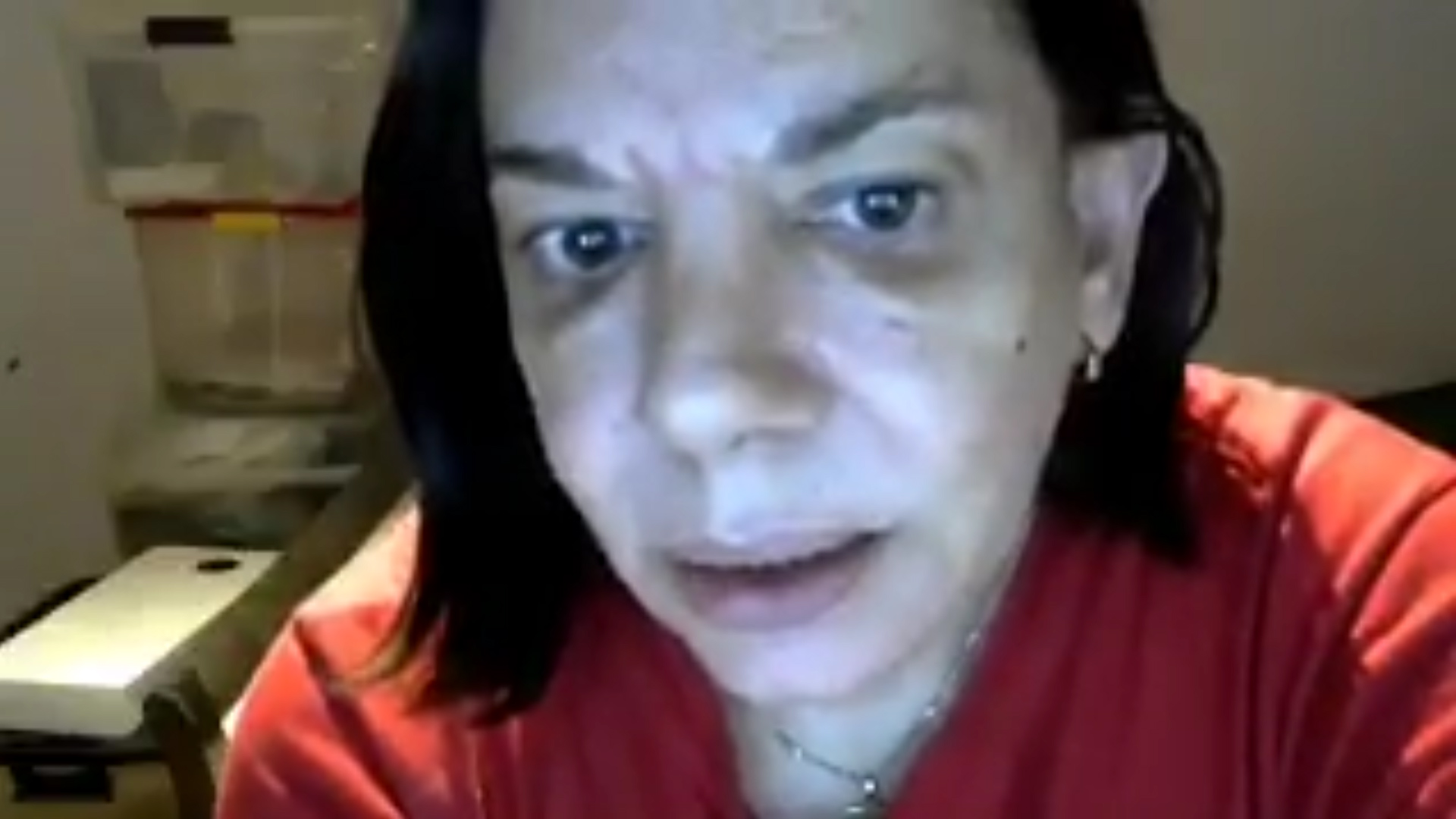 El Video De Una Ex Diputada Kirchnerista Que Se Hizo Viral Infobae 7255