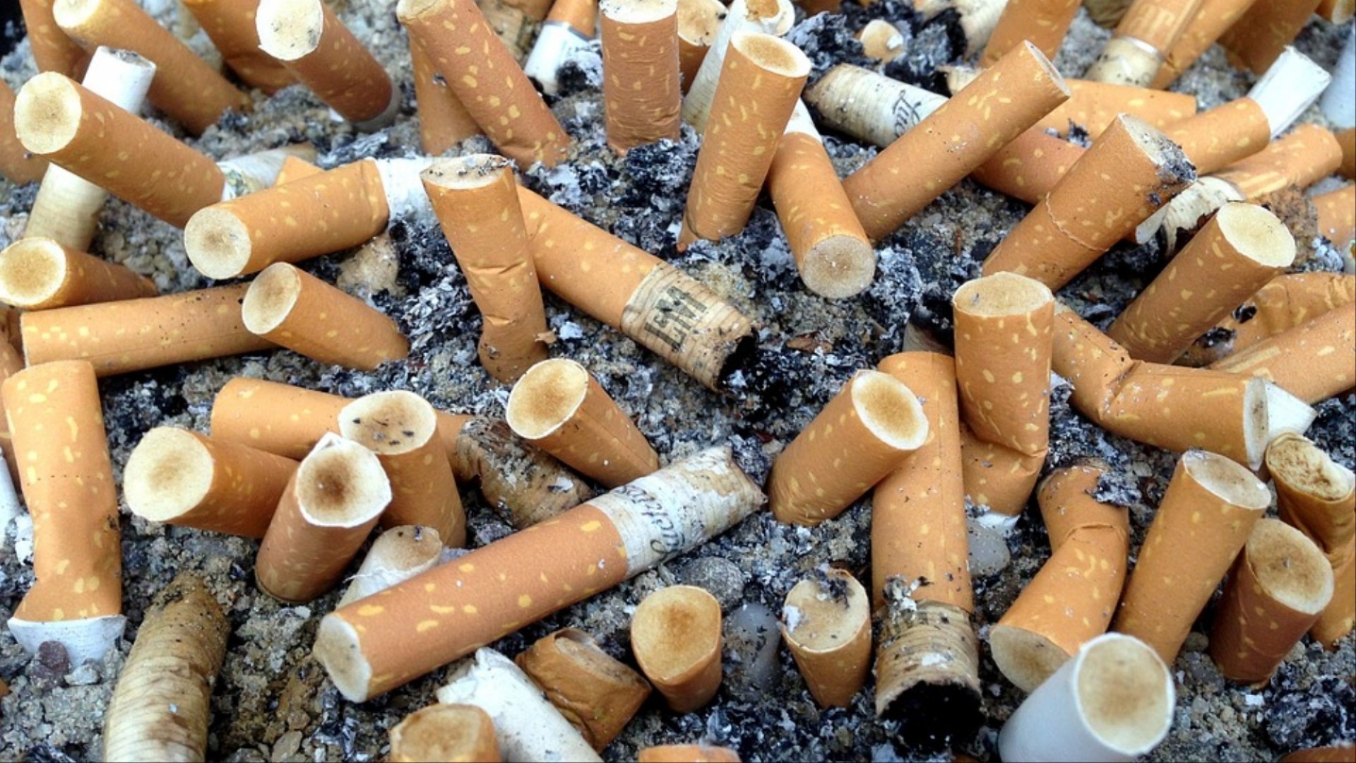 La Cámara De Diputados Propuso Fijar Nuevos Impuestos Para La Cerveza Cigarros Y Refrescos