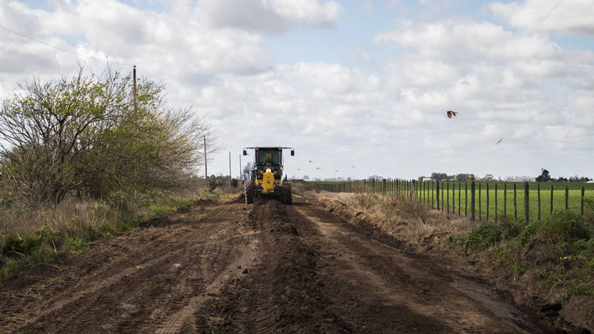 El difícil trayecto de los caminos rurales en nuestro país ...