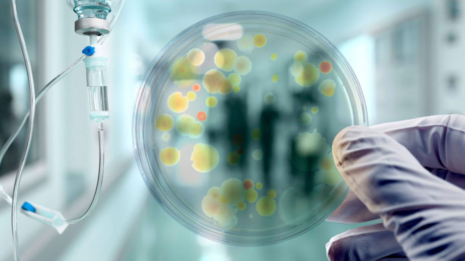 Las bacterias en los hospitales son cada vez más resistentes a los ...