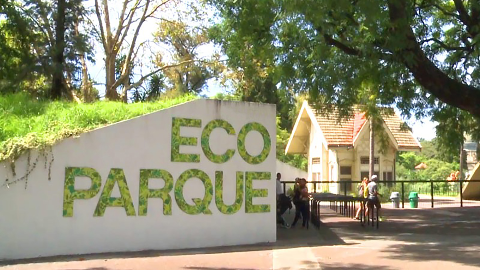 Zoologico De Palermo Pagina Oficial