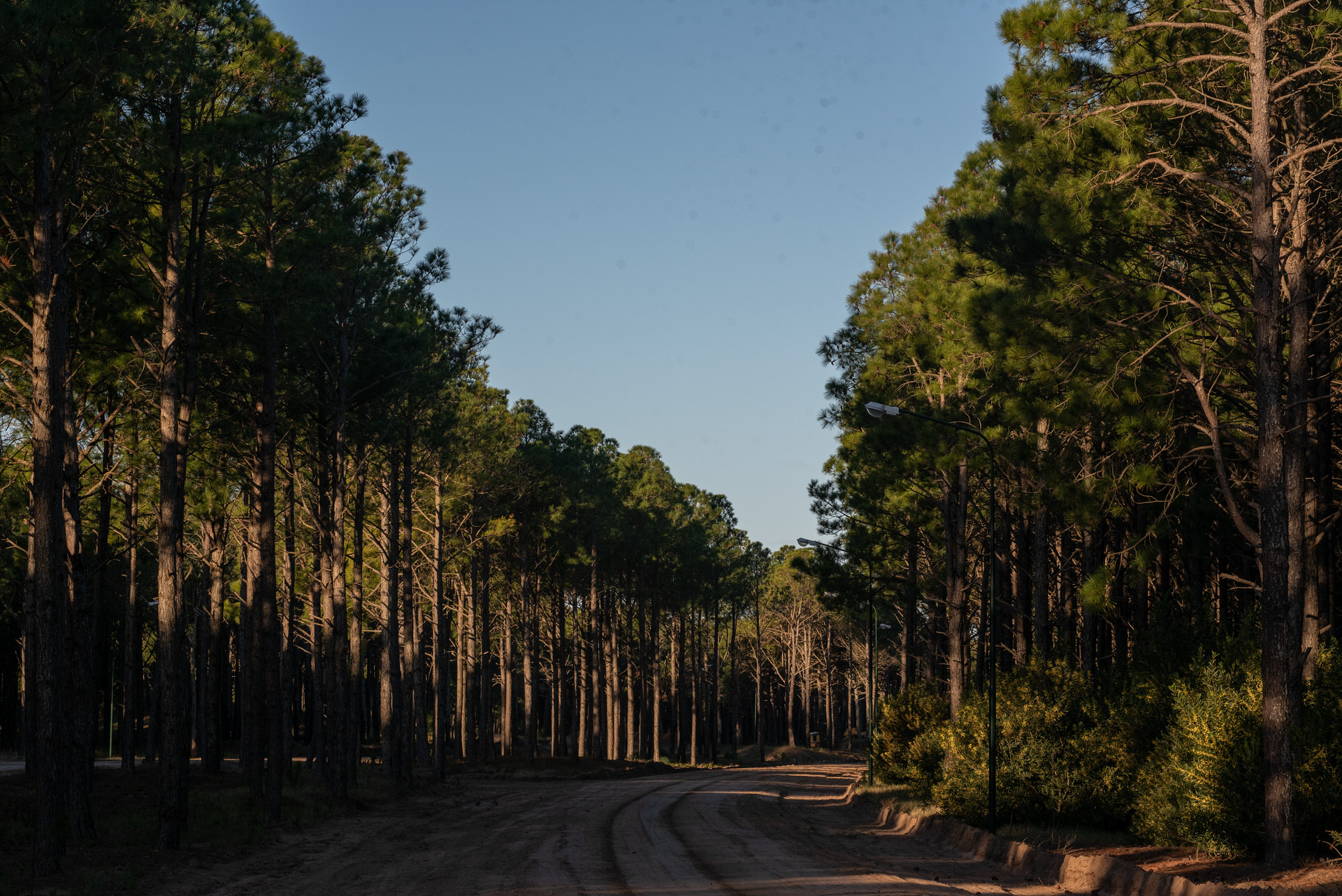 Médanos, bosques y paseo de esculturas: 19 fotos con los mejores ...