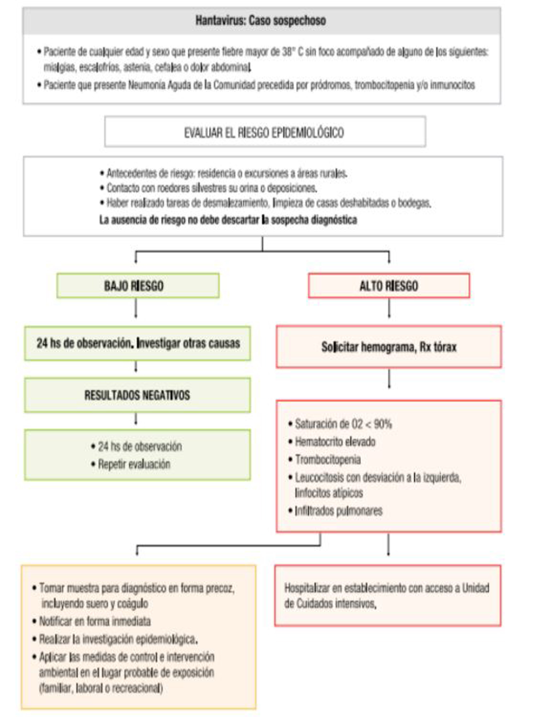 Brote De Hantavirus En La Argentina La Situación Actual Y Las