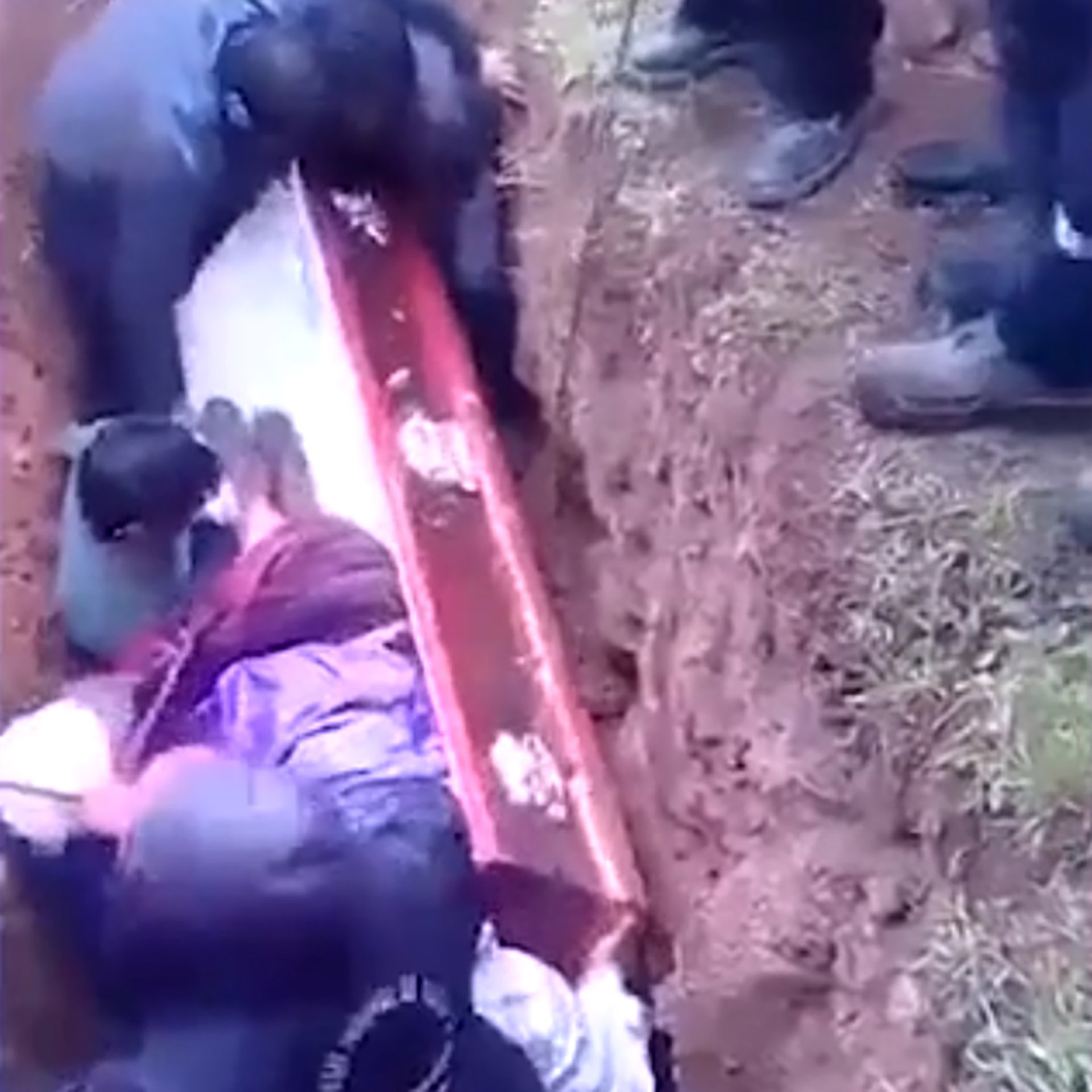 Video El Tropiezo De Un Sepulturero Que Dejó Expuesto El Cadáver De Una Mujer Frente A Sus