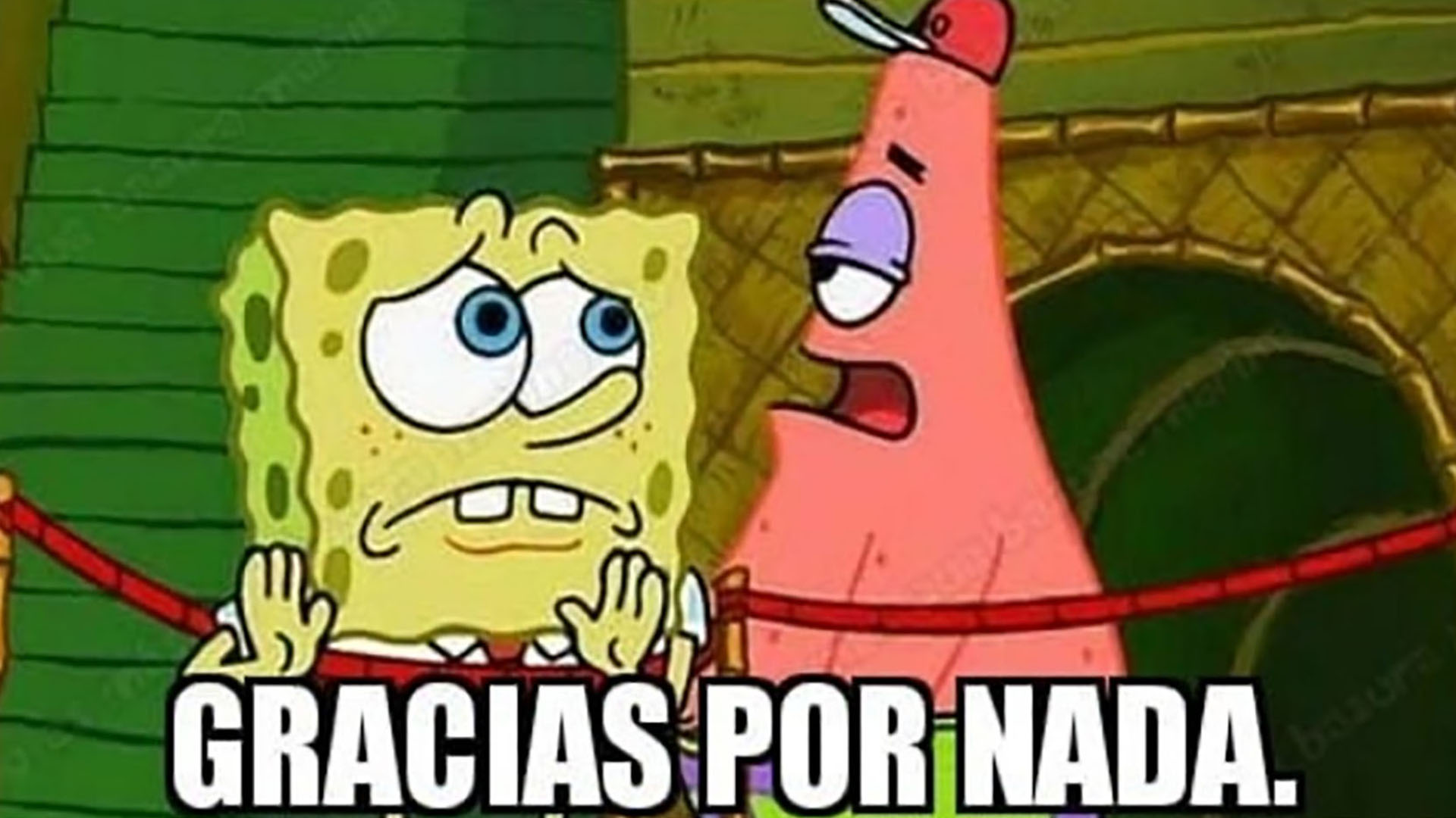 Los Memes Tras El Show De Maroon 5 En El Super Bowl Liii El Homenaje A Bob Esponja Recibió