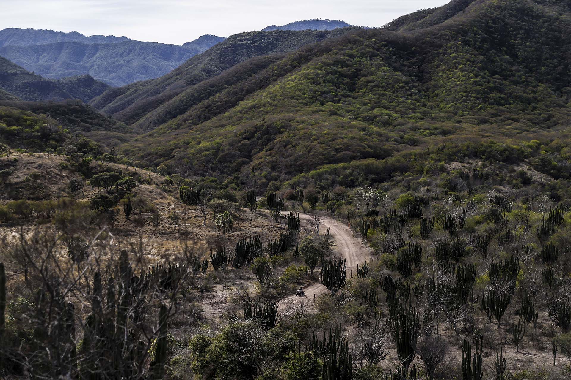 Sierra De Badiraguato Sinaloa