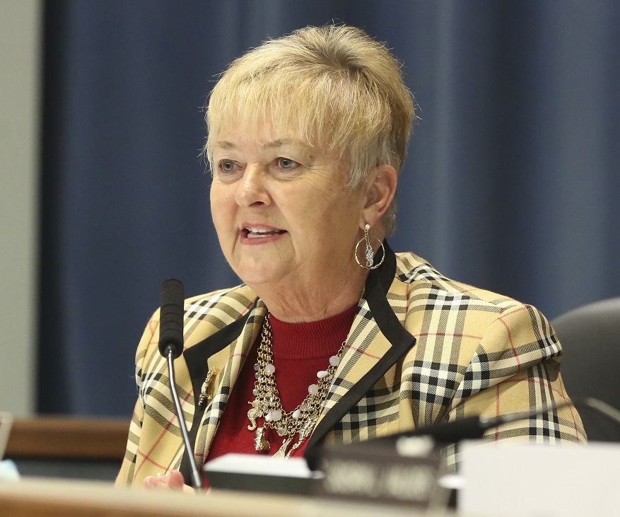 More things candidates say while running for Hillsborough County School ...