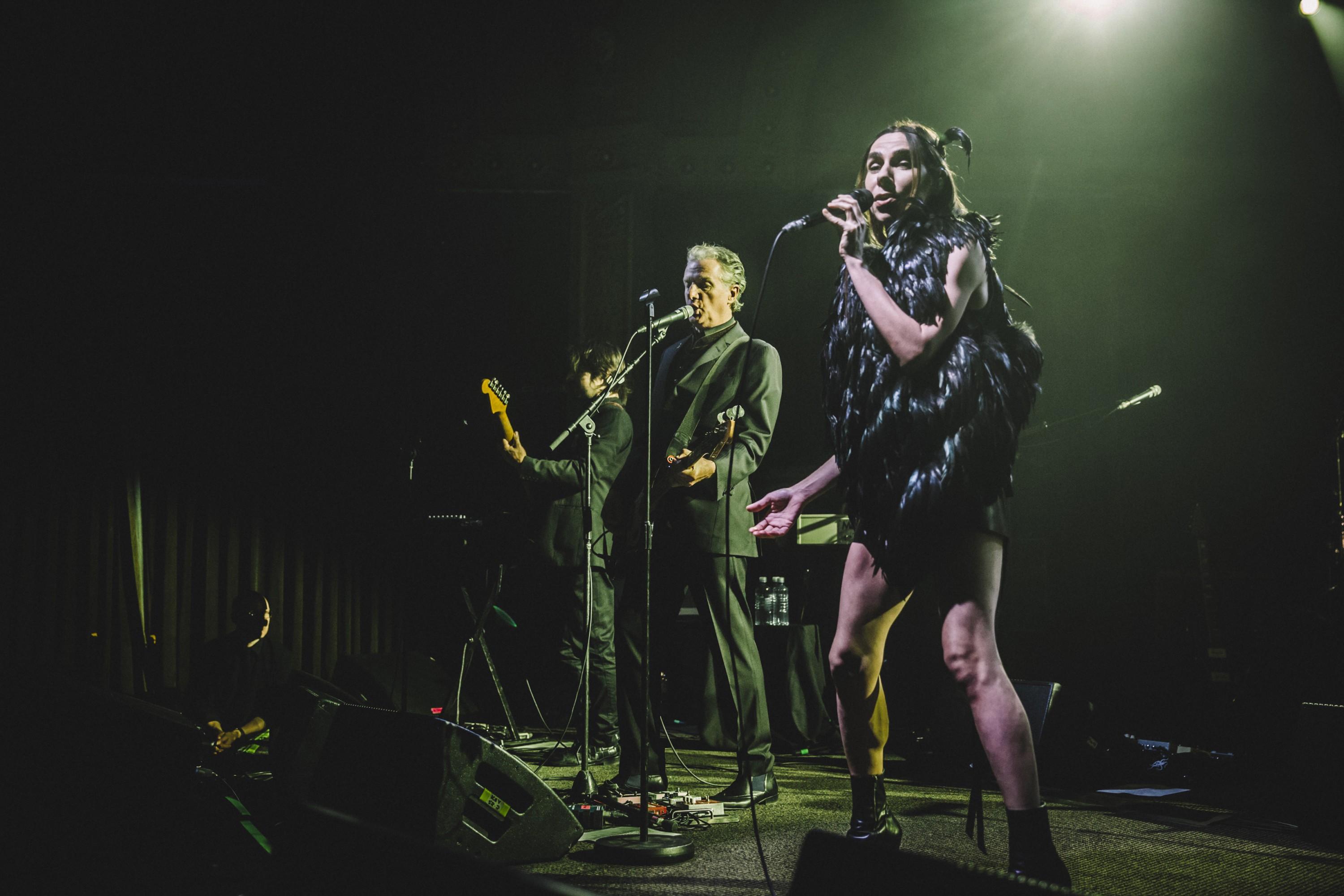 PJ Harvey's First Portland Show in a Decade Was Stunning, Dramatic and ...