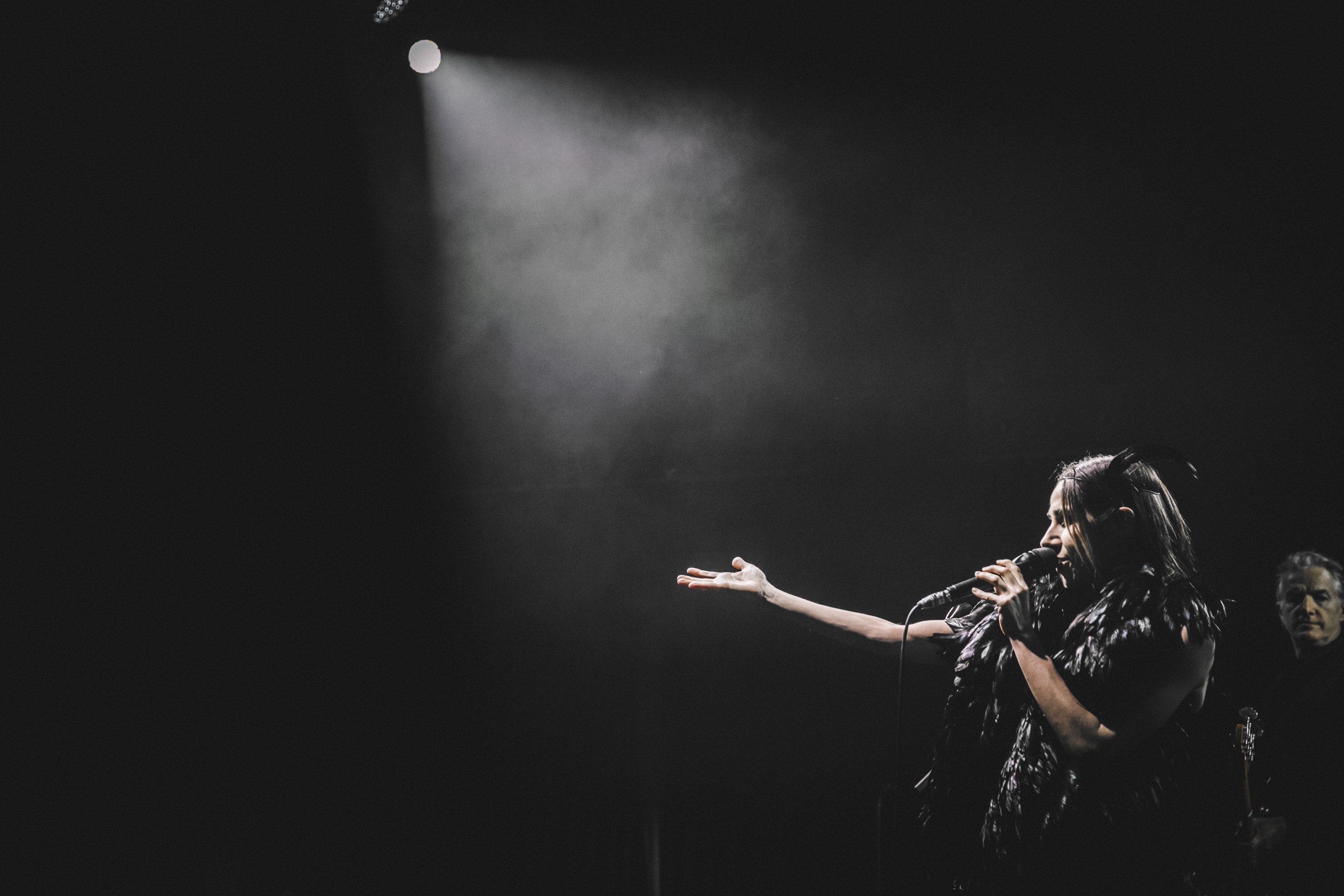 PJ Harvey's First Portland Show in a Decade Was Stunning, Dramatic and ...