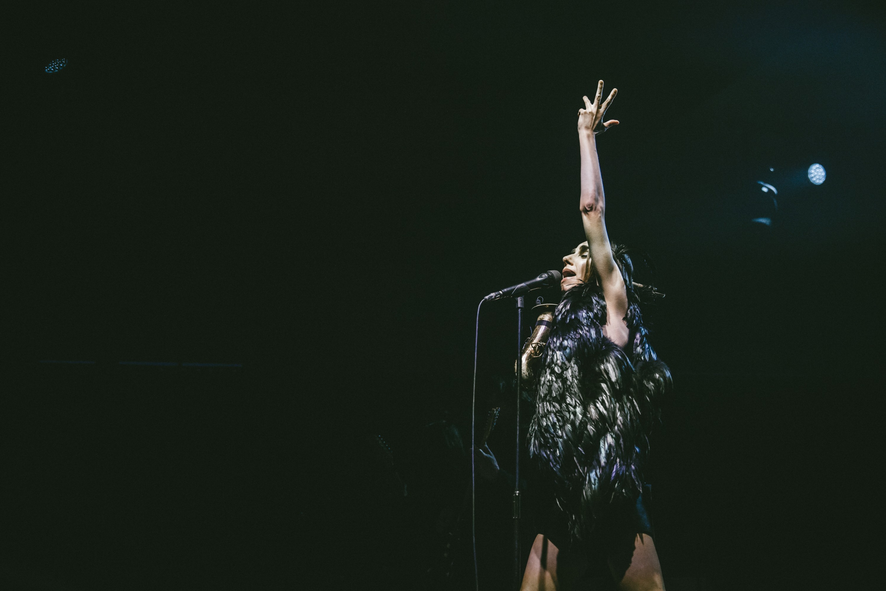 PJ Harvey's First Portland Show in a Decade Was Stunning, Dramatic and ...