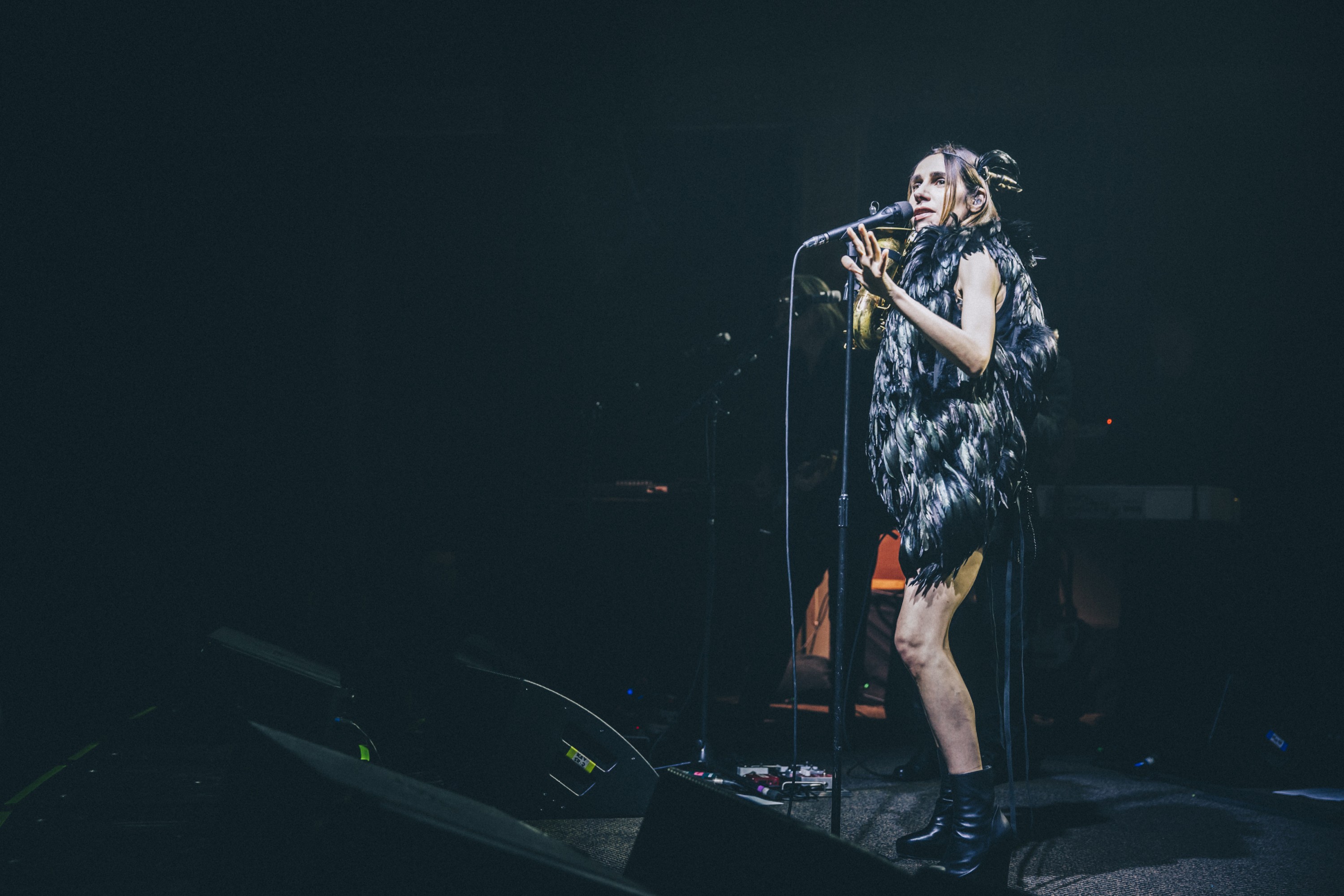 PJ Harvey's First Portland Show in a Decade Was Stunning, Dramatic and ...