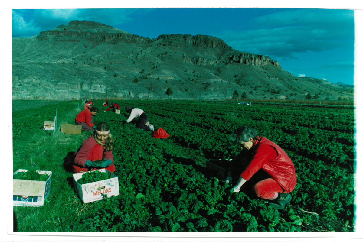 We Dug Through the Archives for Photos of the Rajneesh Commune Thirty ...