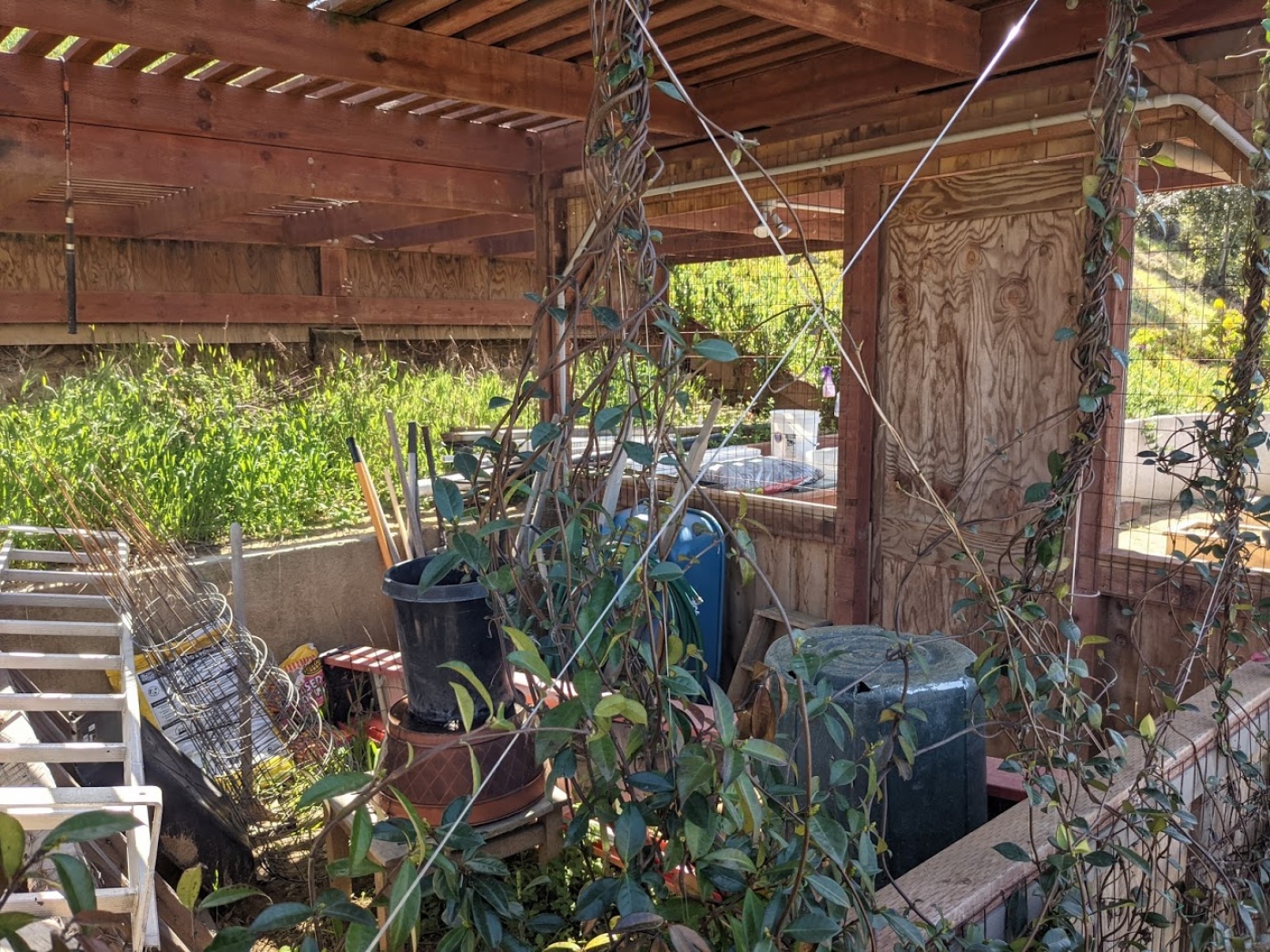 Front yard / Back yard Competition -US, $300 | Arcbazar