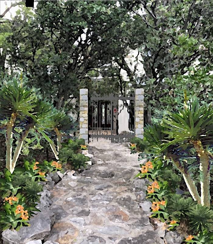 Design project for Texas native cactus and Limestone fence in United ...