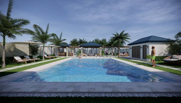 Design project for My Dream Backyard and Pool Area in Trinidad and ...