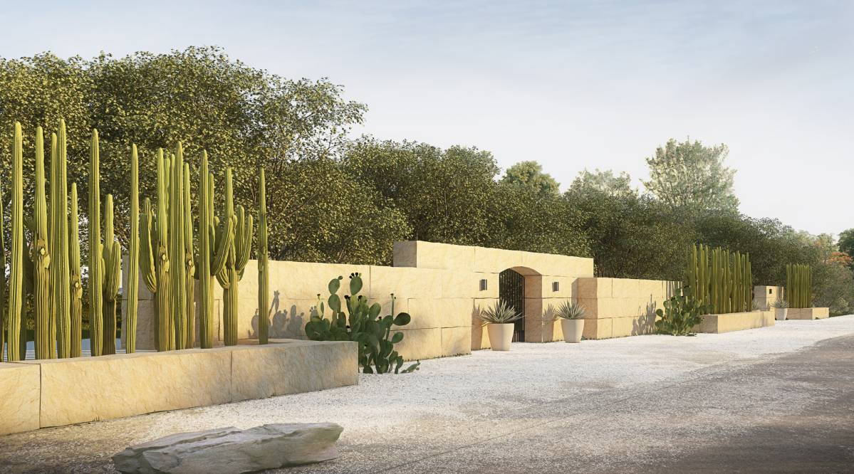 Design project for Texas native cactus and Limestone fence in United ...