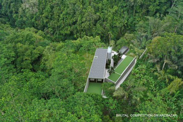 Design project for Brutal Minimalist Tropical Jungle Retreat in ...