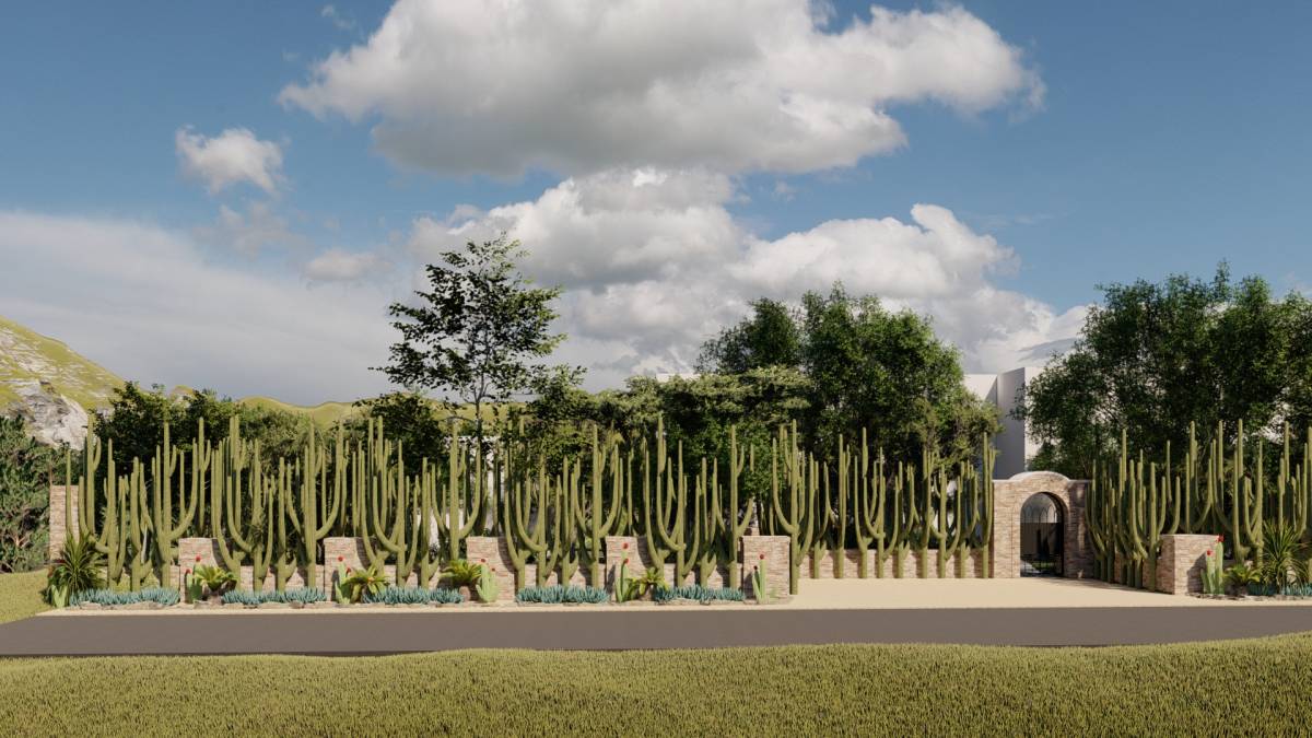 Design project for Texas native cactus and Limestone fence in United ...