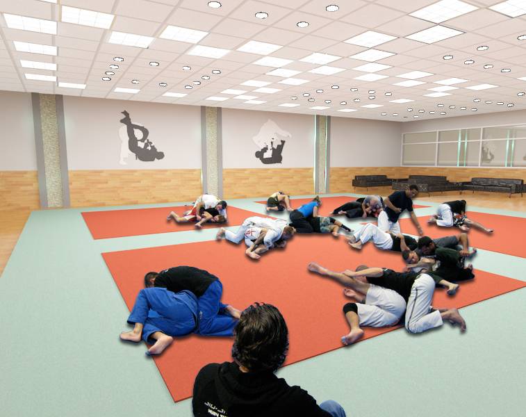 Design project for Brazilian Jiu Jitsu/Martial Arts Academy in United ...