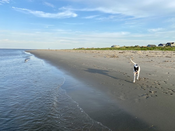 Design project for Triangular Beach Home in United States | Arcbazar